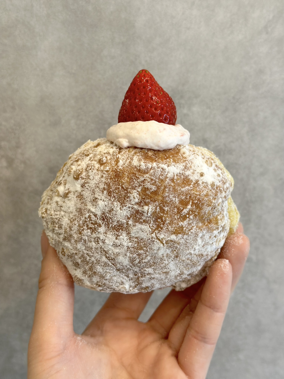 STANDARD DONUTS(スタンダードドーナツ) | 日常を最高にするドーナツを提供します｡